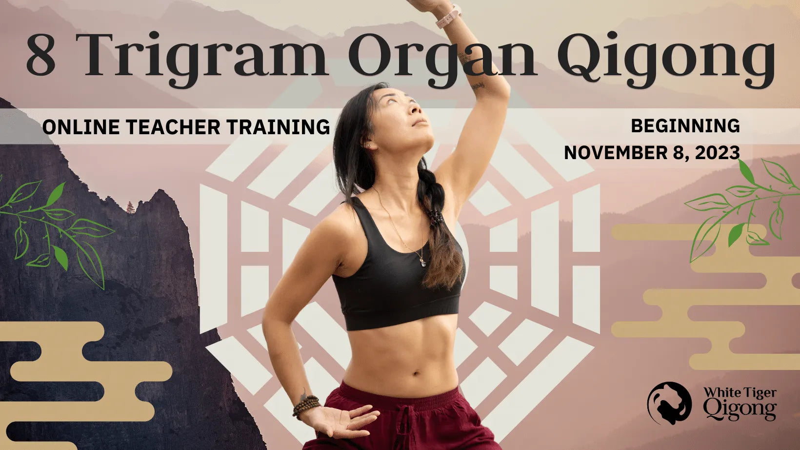 8 Trigram Organ Qigong Teacher Training – White Tiger Qigong