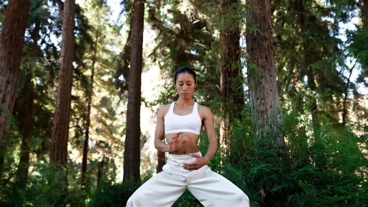 Introduction to Qigong – White Tiger Qigong