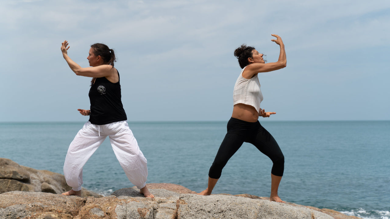 Qi: what is it and how can it boost mental wellbeing? – White Tiger Qigong