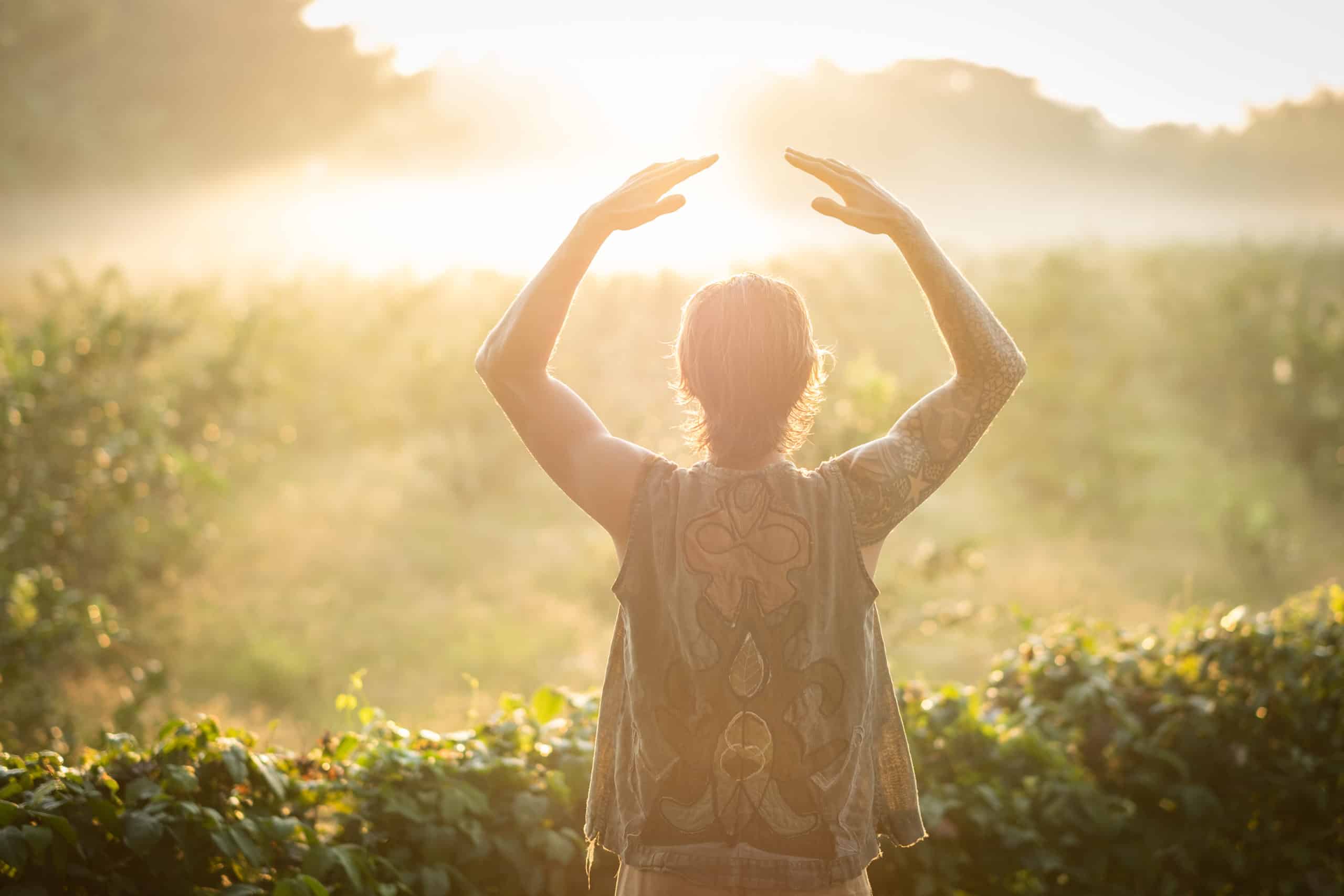 Qigong for Acupuncturists – White Tiger Qigong