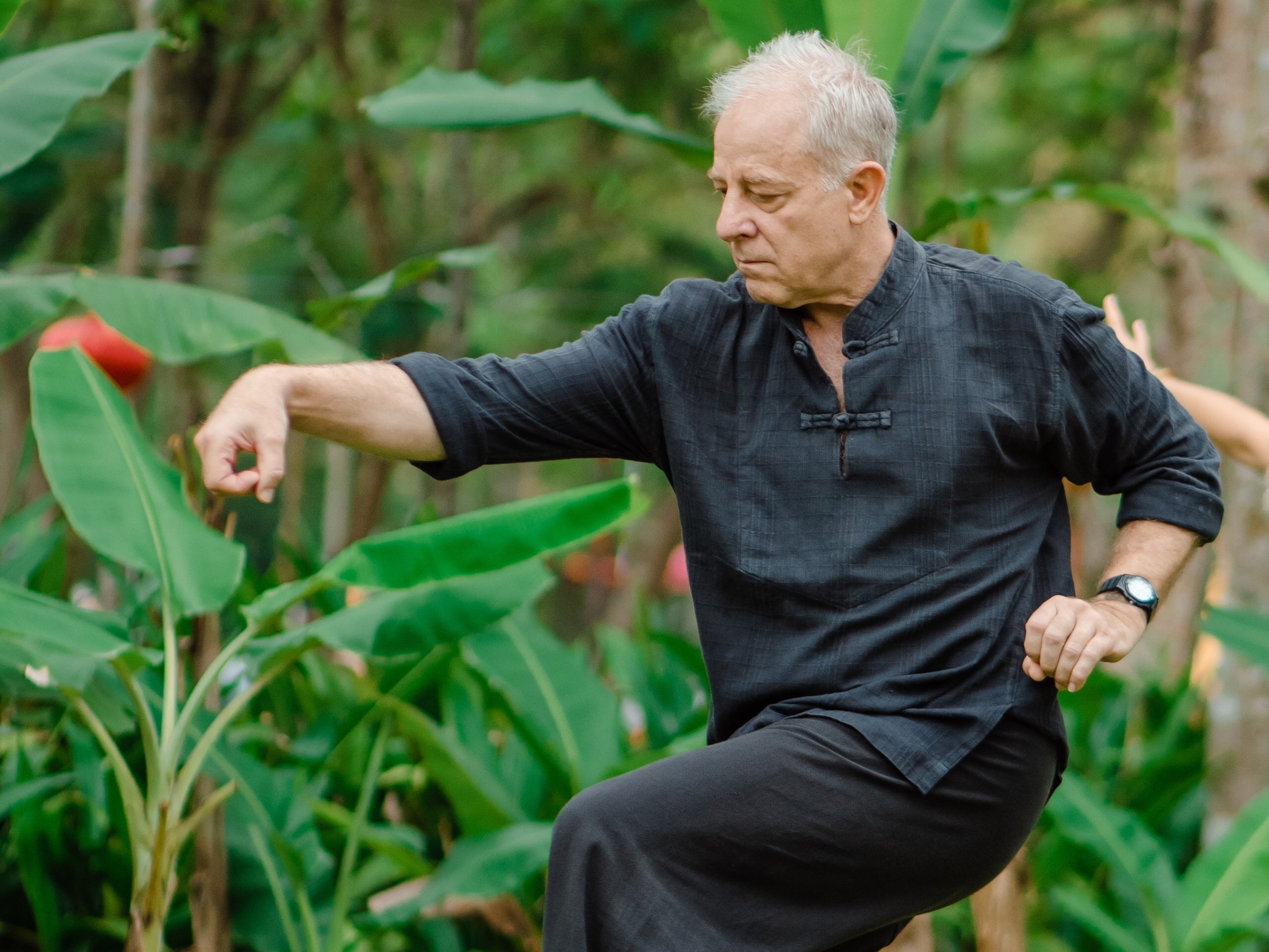 Gentle Qigong Practice – White Tiger Qigong