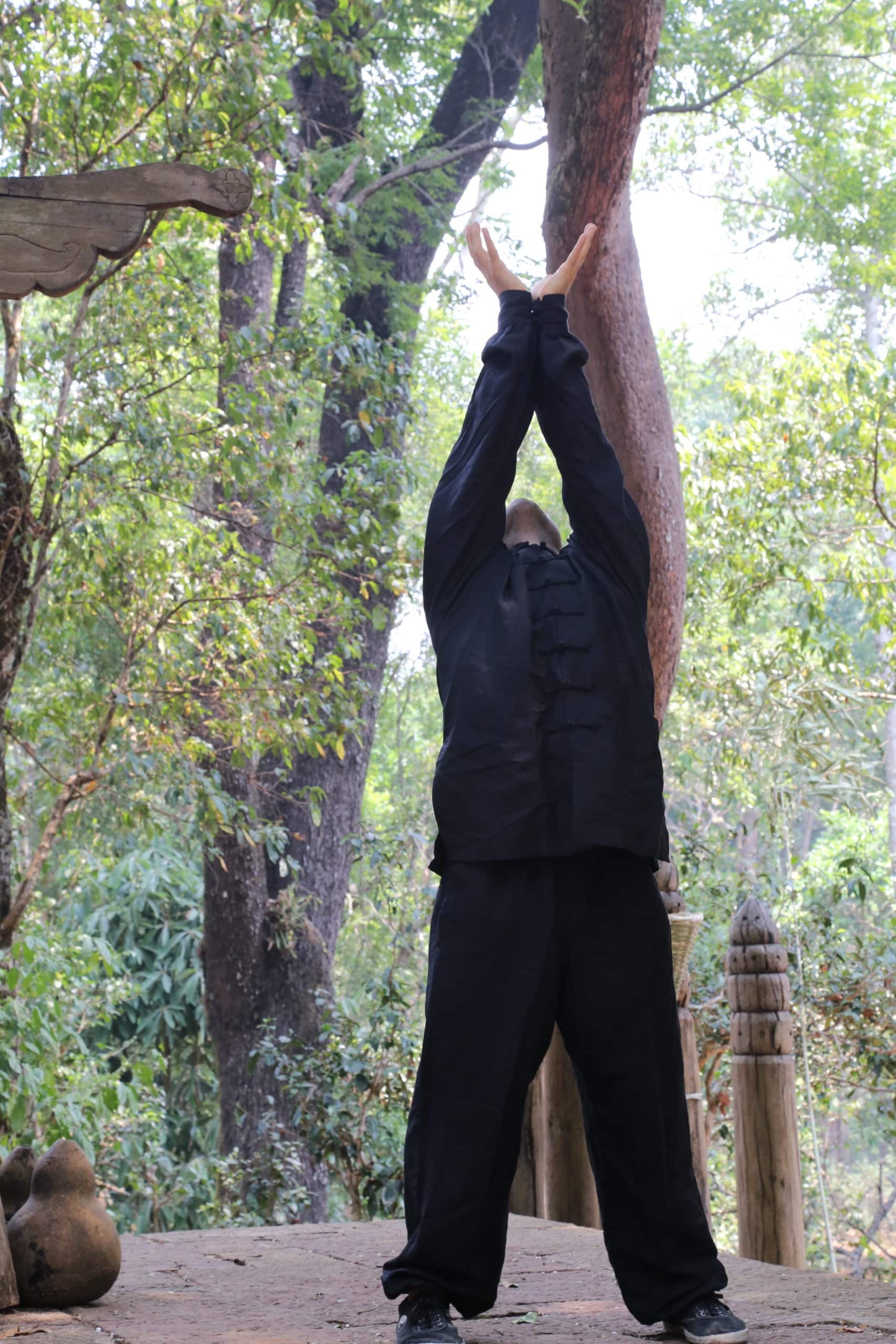 Tasting the Flavor of Depth | White Tiger Qigong