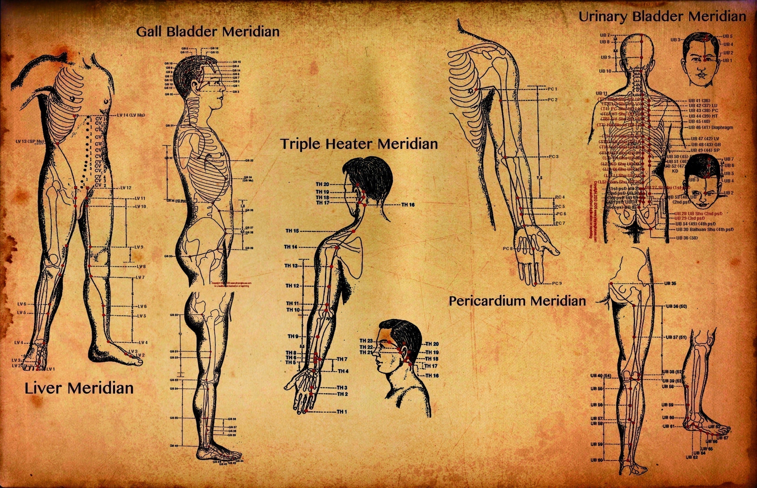 Energize Your Morning: A Beginner-Friendly Qigong Routine to Start You ...