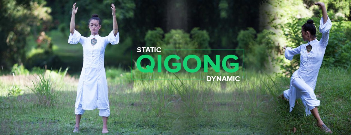 Balance Between Dynamic and Static Movements | White Tiger Qigong