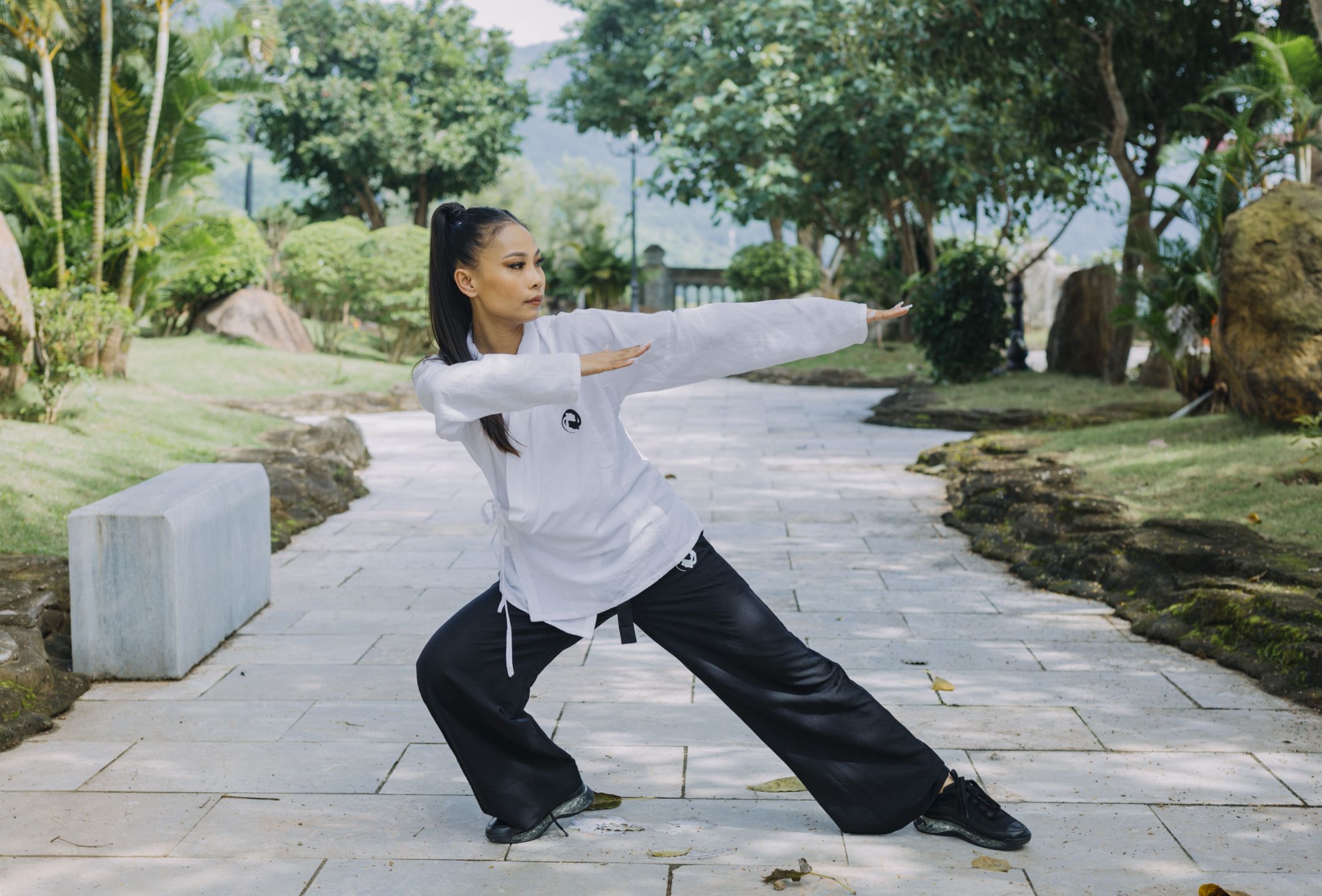 White Tiger Qigong - Expert Qigong Courses and Teaching