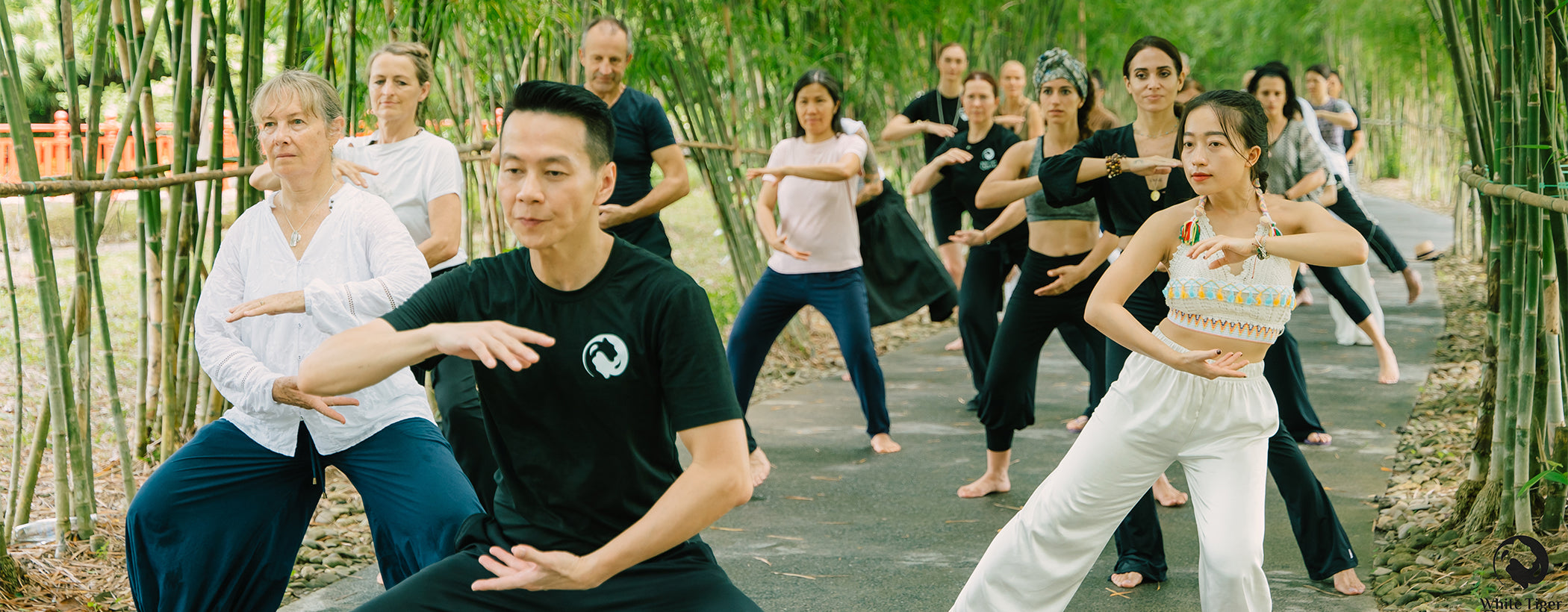 White Tiger Qigong - Expert Qigong Courses and Teaching