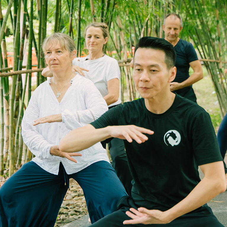 White Tiger Qigong - Expert Qigong Courses and Teaching