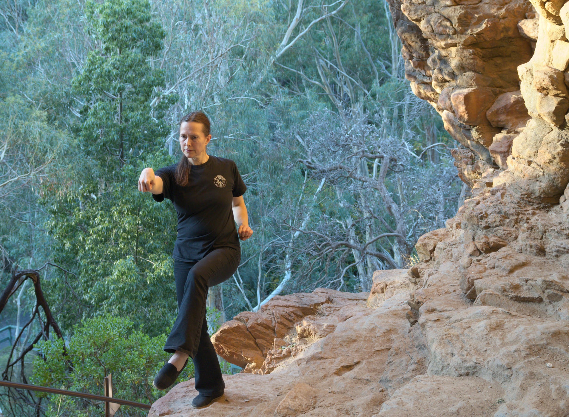 Gentle Qigong Course – White Tiger Qigong