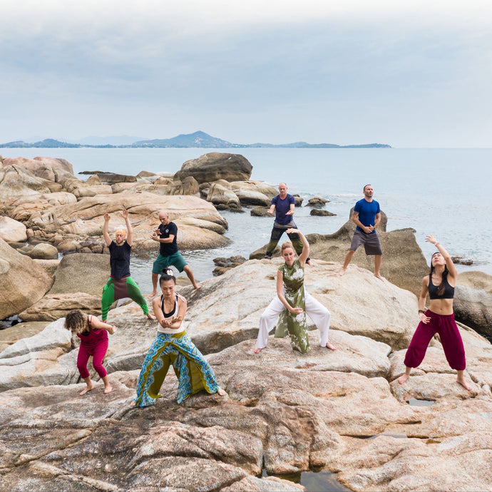 8 Trigram Qigong Online Course – White Tiger Qigong